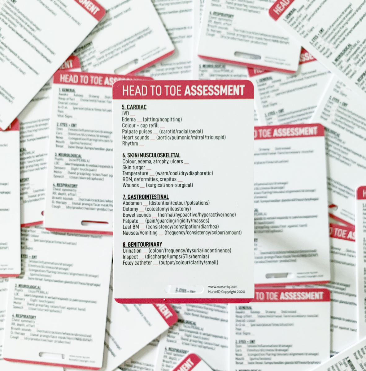 Head to Toe Assessment Nursing Reference Cards – NurseIQ