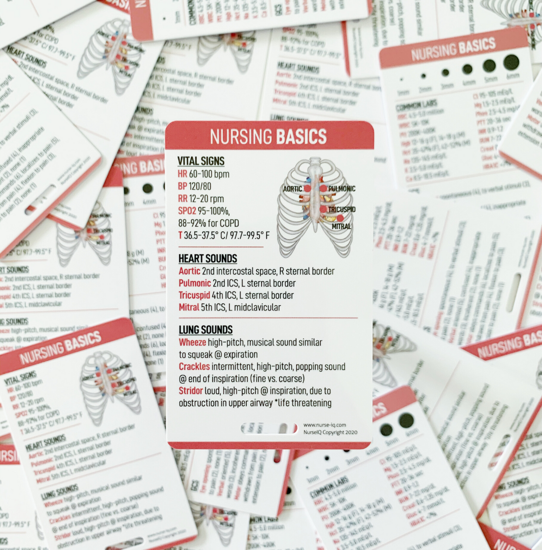 Nursing Basics Nursing Reference Cards – NurseIQ